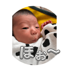 meg_20250322211944 – LINE stickers | LINE STORE