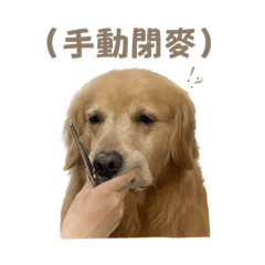 Abeshi_20250324140355 - LINE スタンプ | LINE STORE