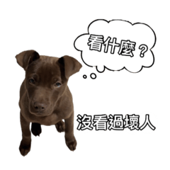 Niu_20250325212359 – LINE stickers | LINE STORE