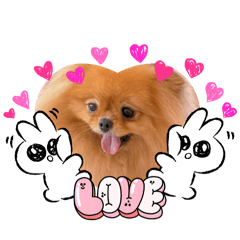 Hon_20250325210821 – LINE stickers | LINE STORE