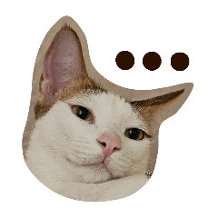 udon & dango_20250329205836 - LINE スタンプ | LINE STORE