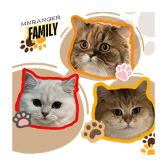 MN CATS FAMILY 2 – LINE stickers | LINE STORE