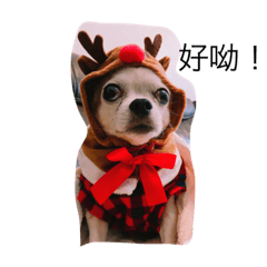 My name is Wan Wan. – Stickers LINE | LINE STORE