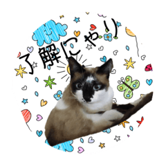 the stickers of cat and dog - Stiker LINE | LINE STORE