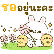 usagi no whipped message(thai) – LINE stickers | LINE STORE