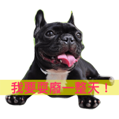 Lisa&Vana II – LINE貼圖 | LINE STORE