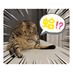 DoDo&BuBu – LINE貼圖 | LINE STORE