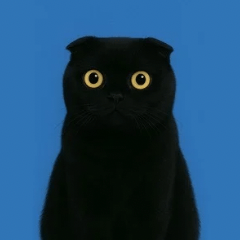 Midnight Meow Stickers – LINE stickers | LINE STORE