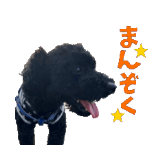 Ringo_20250420220156 – LINE stickers | LINE STORE