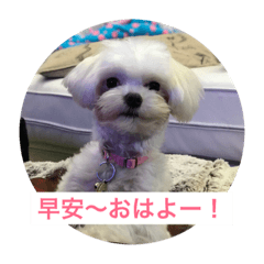 Nunu and Chibi 2 – LINE貼圖 | LINE STORE