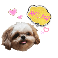 mon mon_20250419105536 - LINE スタンプ | LINE STORE