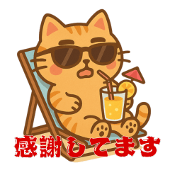 Big Brows Chubby Cat Stickers