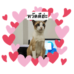 Nid Seepradu_20250424124521 – LINE stickers | LINE STORE