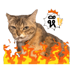 TuaLek And The Gangs – สติกเกอร์ LINE | LINE STORE