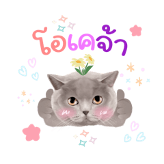 Momo the cat v.2 - LINE スタンプ | LINE STORE