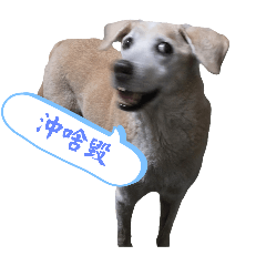 BoBo_20250424233551 – LINE stickers | LINE STORE