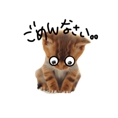 Unn_20250427133224 – LINE stickers | LINE STORE