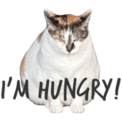 Fluffy Huffs – LINE stickers | LINE STORE