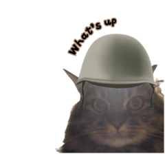 Ployly_20250429130632 - LINE スタンプ | LINE STORE