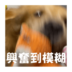 Abeshi_20250501124800 – LINE stickers | LINE STORE