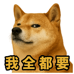 Shiba Inu Series - Vol.3 – LINE stickers | LINE STORE