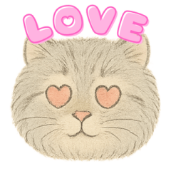 Daily Pallas' Cat Moodies – LINE stickers | LINE STORE
