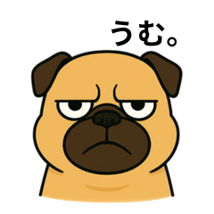 Is this a brazen smug pug?? – LINE stickers | LINE STORE