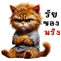 Funny Dirty cat (Big Stickers) – LINE stickers | LINE STORE