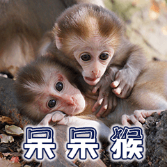 stupid monkey - Stiker LINE | LINE STORE