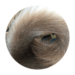 qppp - LINE スタンプ | LINE STORE