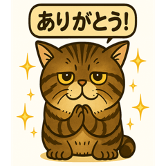 Akira the Cat Stickers – LINE stickers | LINE STORE