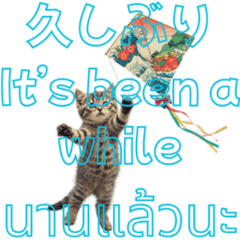 Multilingual Cat Stickers 8 – LINE stickers | LINE STORE