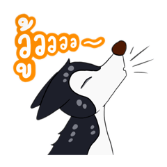 Husky dog awoo – LINE stickers | LINE STORE