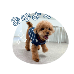 chachamaru_days_sticker – สติกเกอร์ LINE | LINE STORE