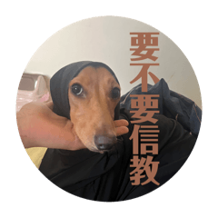 Lu_20250511024709 – LINE stickers | LINE STORE