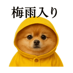 MINA_20250513145531 – LINE stickers | LINE STORE