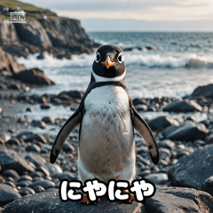 Penguin Mood Stickers2025 – LINE stickers | LINE STORE