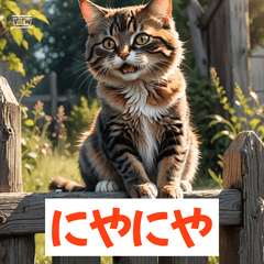 Moody Cat LifeA – LINE stickers | LINE STORE