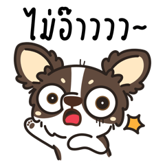 Baekju the chihuahua – LINE stickers | LINE STORE