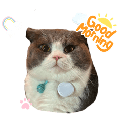 Guay-Tiao_20250516142844 – LINE stickers | LINE STORE