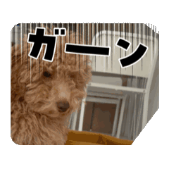 Rin_20250517165300 – LINE stickers | LINE STORE