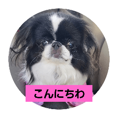 hujikoちゃん - LINE スタンプ | LINE STORE
