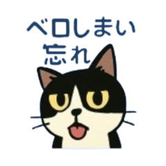 cigmo_20250522071730 – LINE stickers | LINE STORE