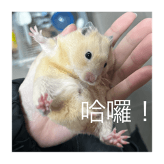 Min Hui_20250523015459 – สติกเกอร์ LINE | LINE STORE