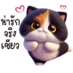Another cute tricolor cat – LINE stickers | LINE STORE
