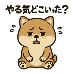 Sarcastic Doggo Stickers – สติกเกอร์ LINE | LINE STORE