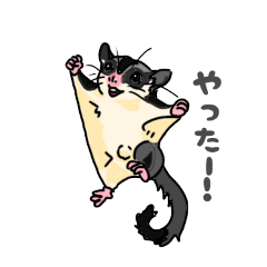 Tropical friend 2 – LINE stickers | LINE STORE