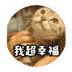 yilan_20250524110527 - LINE スタンプ | LINE STORE