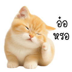 Cute Fat Orange Cat Gang – LINE stickers | LINE STORE
