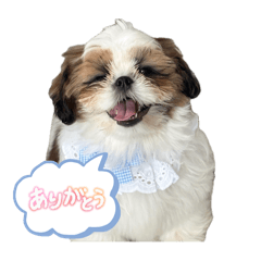 Juri_20250526153045 – LINE stickers | LINE STORE
